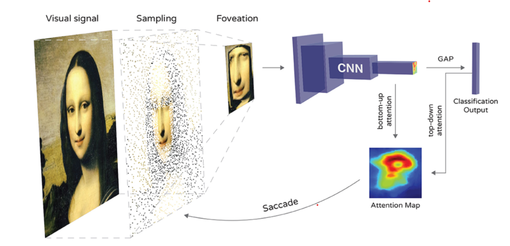 機械学習CNNを理解する！初学者が押さえておきたいポイントを解説 - DS Media by Tech Teacher